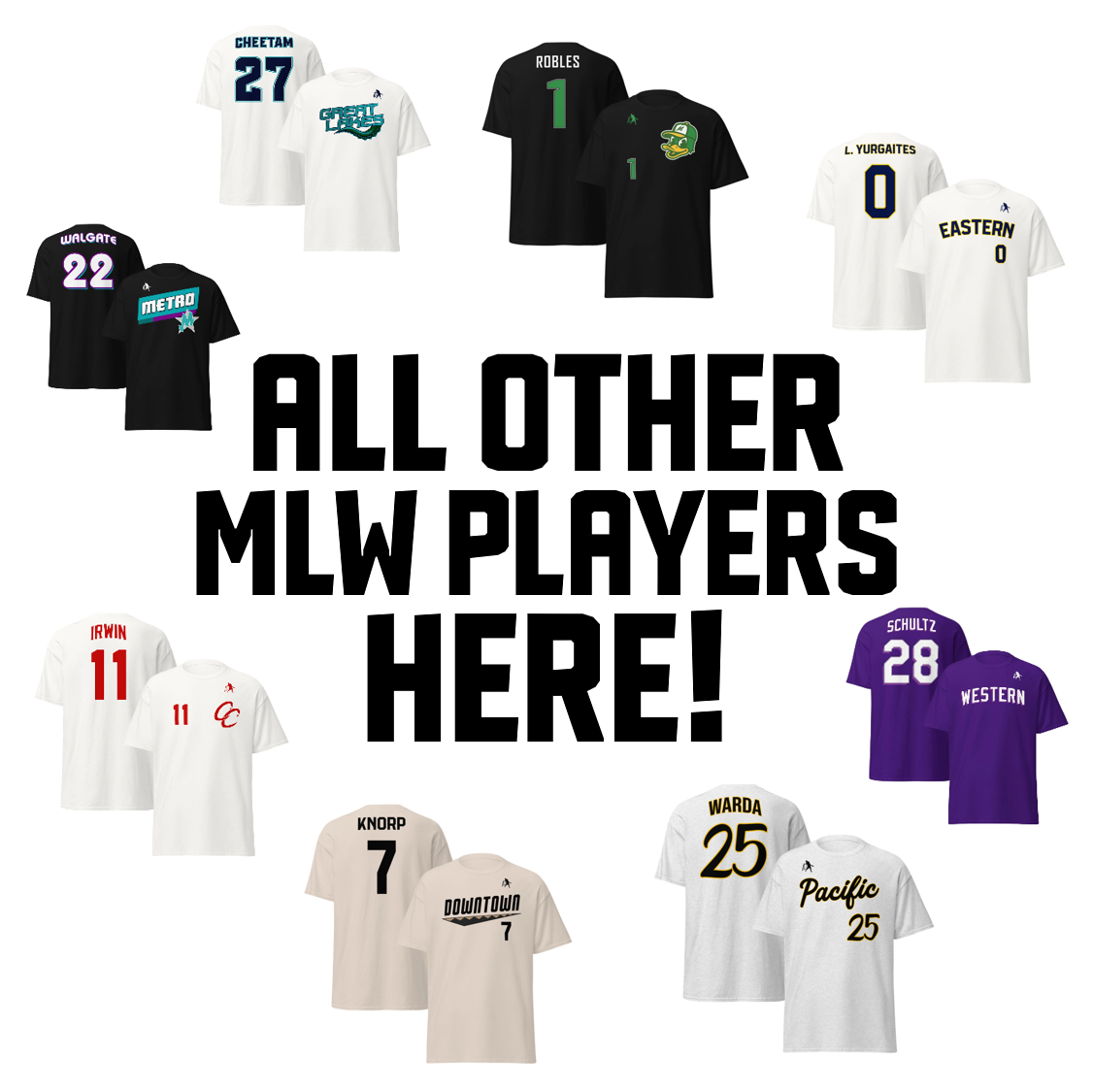 Choose Your Player Jersey Tee (Unlisted MLW Players) – MLW Wiffle Ball
