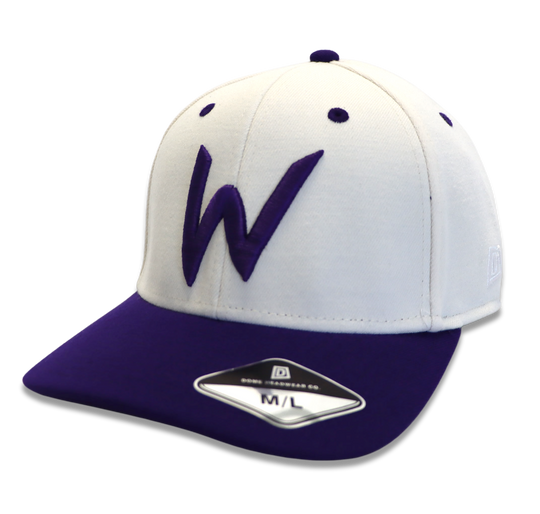 Hats – MLW Wiffle Ball